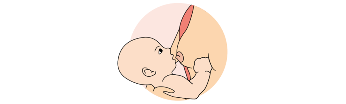 Richtig Stillen: Kompletter Guide für neue Mütter - Bethesda Spital ...